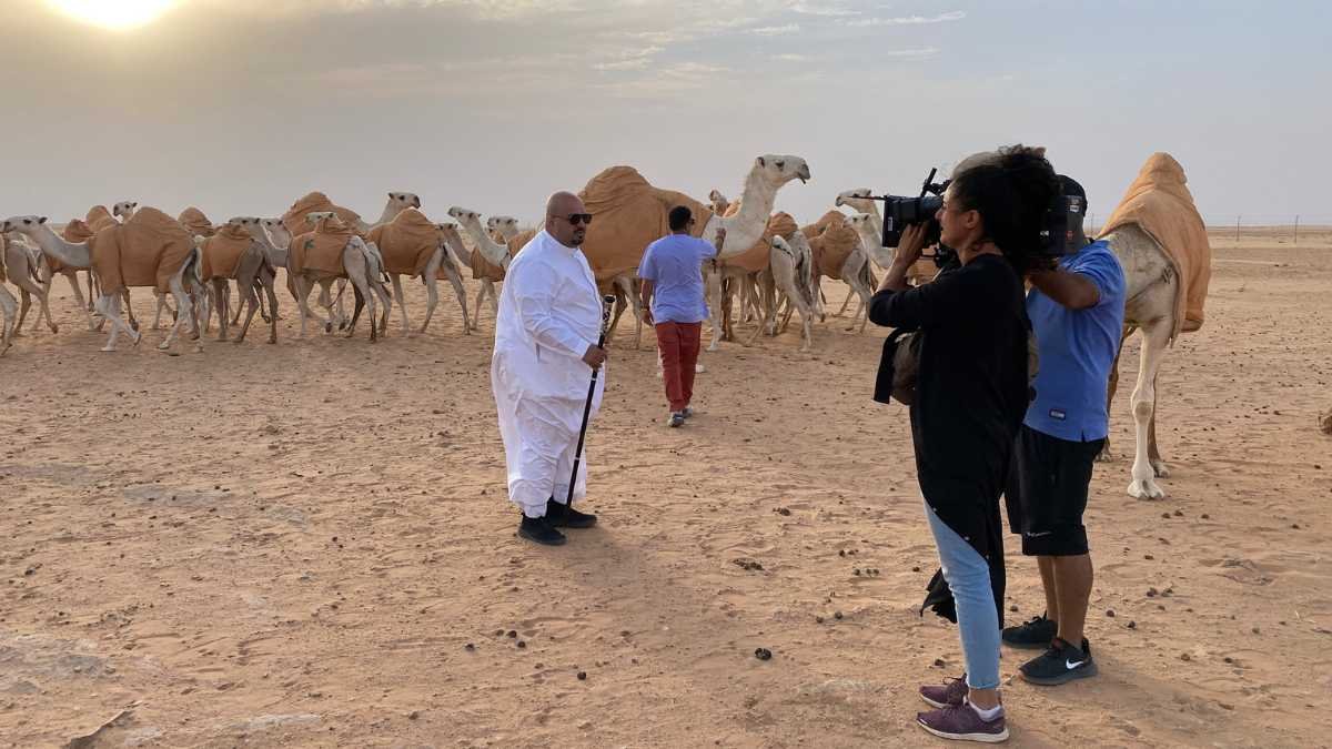 Camel Quest: Exploring the Rich Tapestry of Saudi Arabia Through ...
