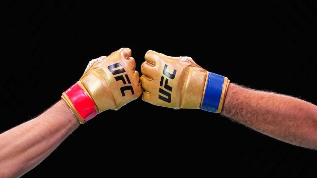 Introducing the New UFC Official Fight Glove – Scoop Core