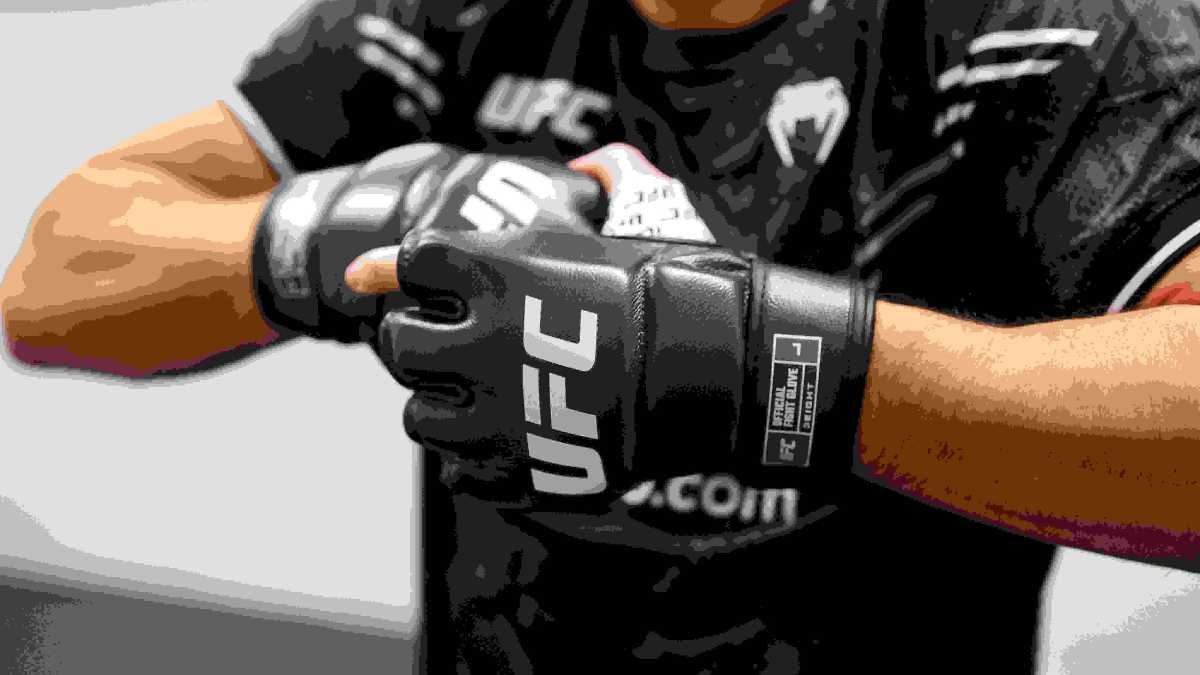 Introducing the New UFC Official Fight Glove – Scoop Core