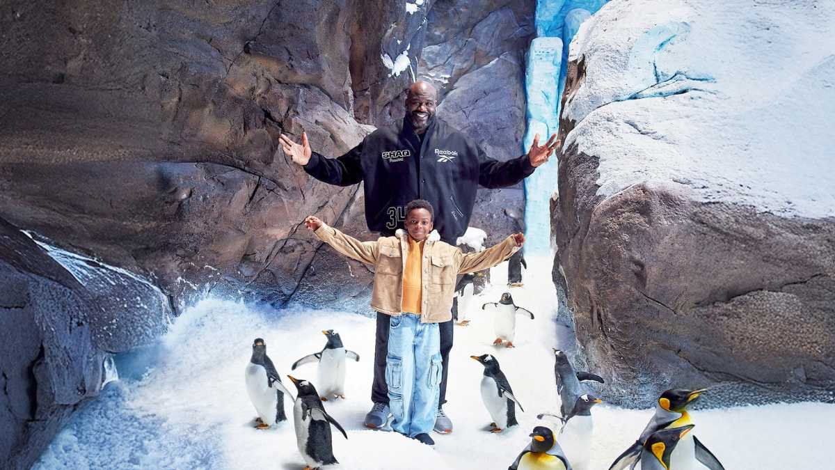 Yas Island’s Wildest Move Yet with Shaquille O’Neal and Flipperachi ...